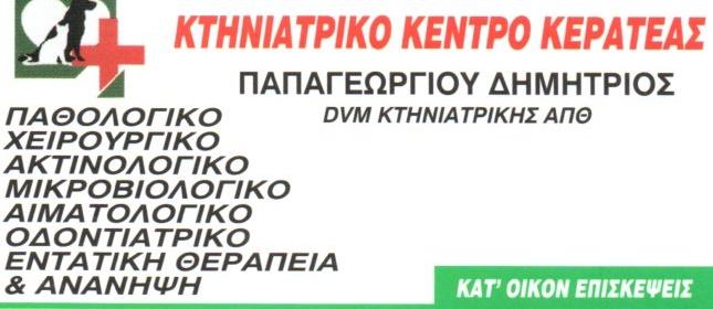 ΠΑΠΑΓΕΩΡΓΙΟΥ ΔΗΜΗΤΡΙΟΣ